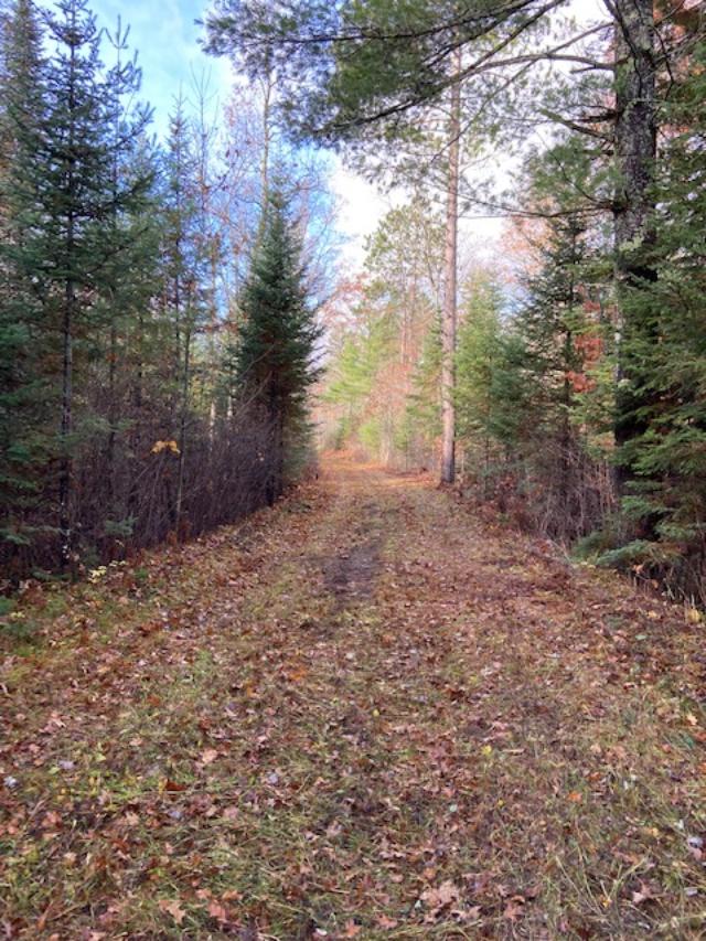 Little Arbor Vitae Trail – Cross Country Cruisers